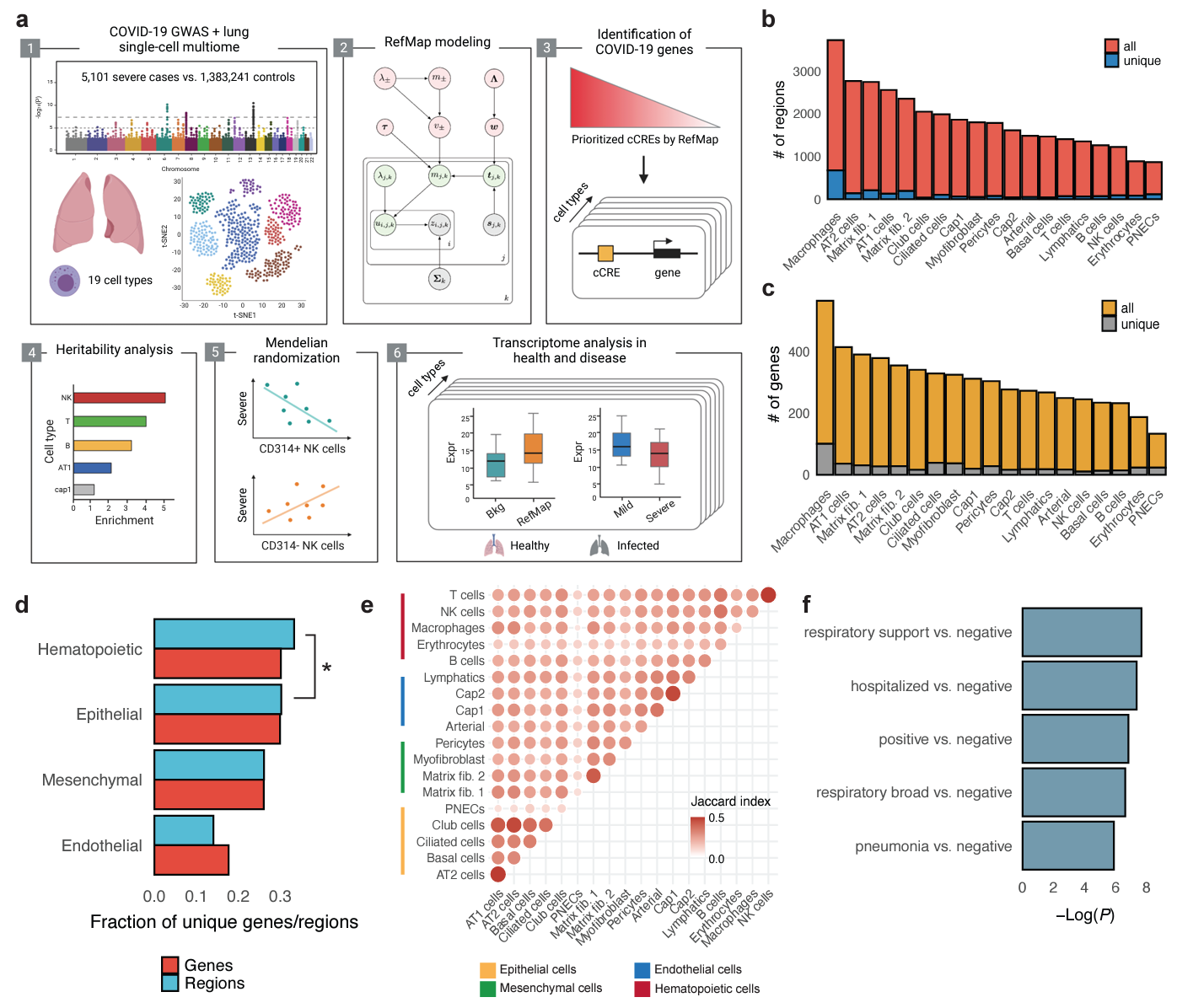 Common and rare variant analyses combined with single-cell multiomics ...