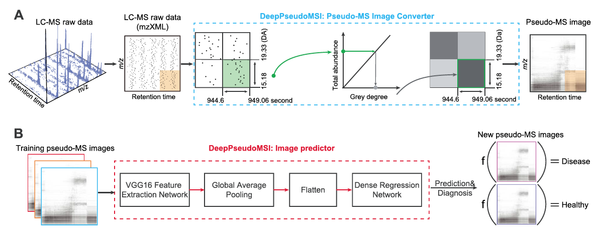 Deep learning-based pseudo-mass spectrometry imaging analysis for ... Deep learning-based pseudo-mass spectrometry imaging analysis for ...