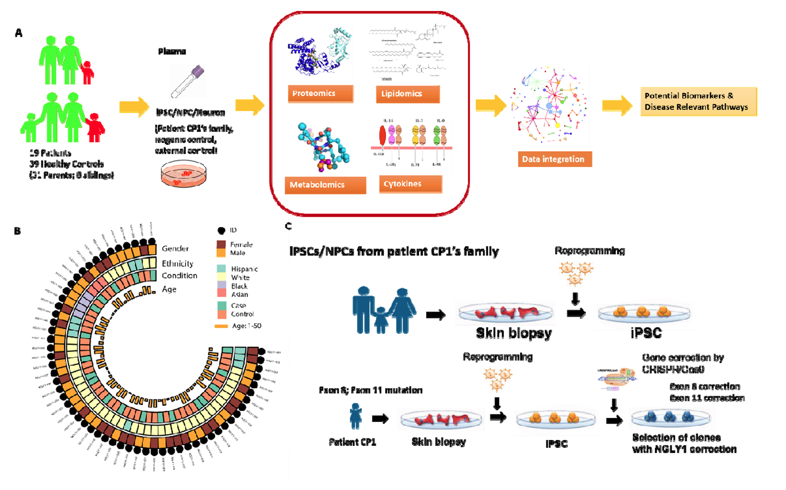 Integration and comparison of multi-omics profiles of NGLY1 deficiency ...