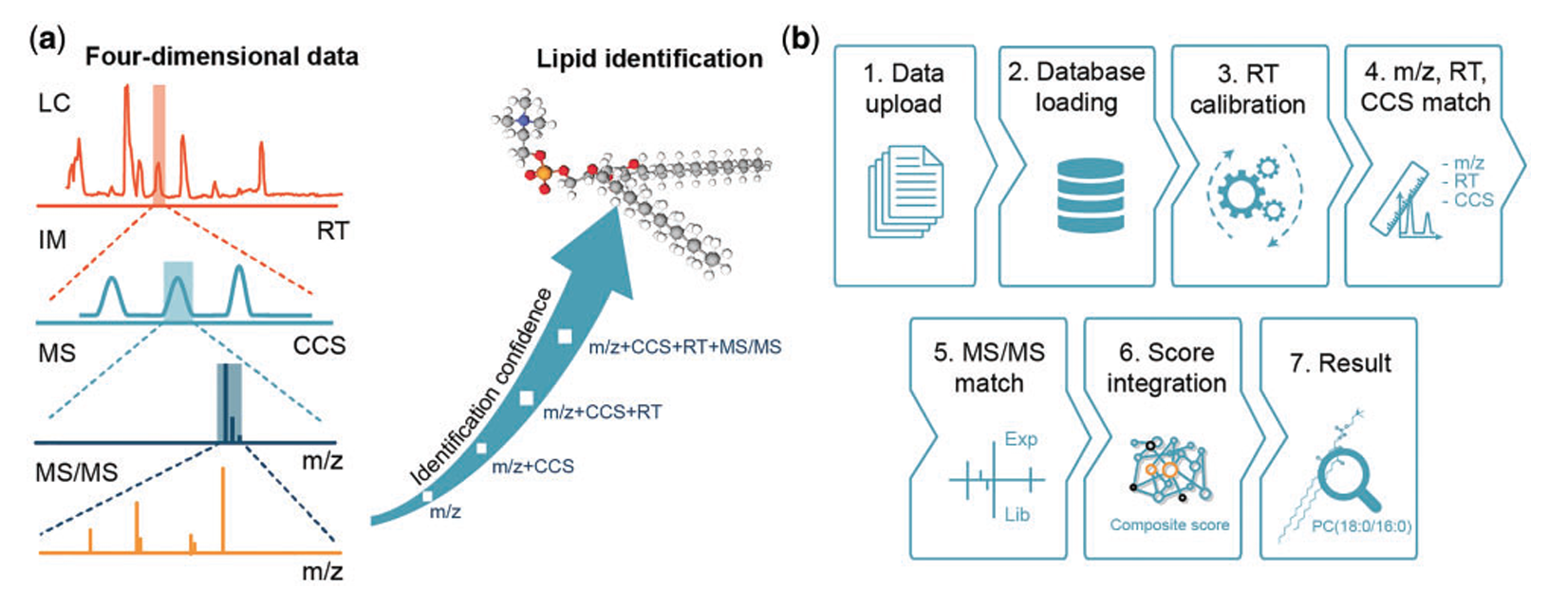 LipidIMMS Analyzer integrating multi-dimensional information to support lipid identification in ...