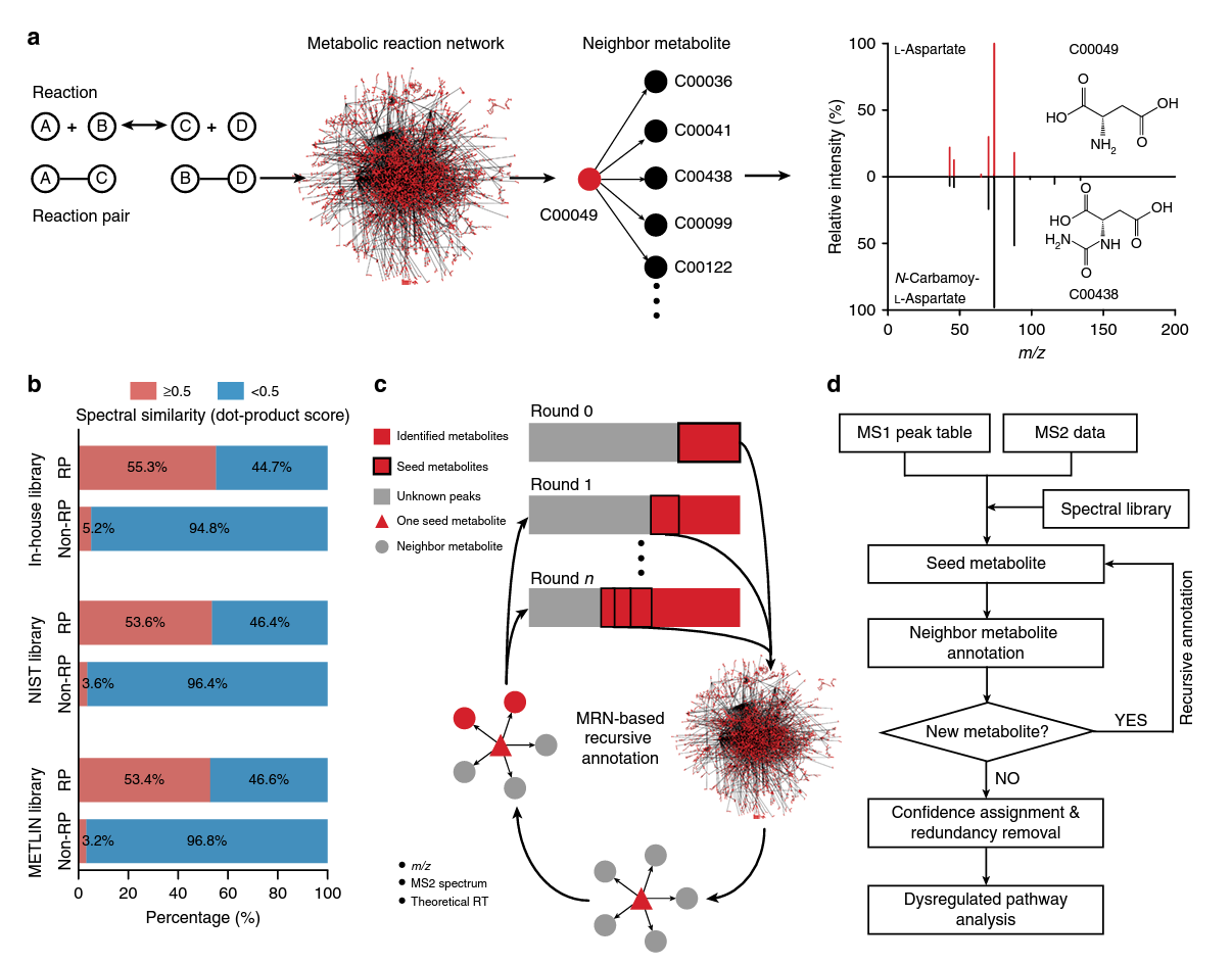 Metabolic Reaction Network Based Recursive Metabolite Annotation For